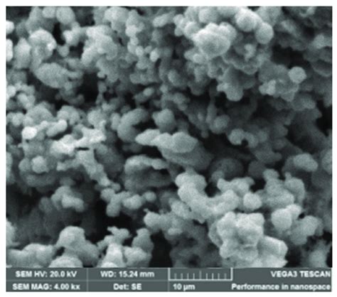 Sem Micrograph Of Cuo Download Scientific Diagram