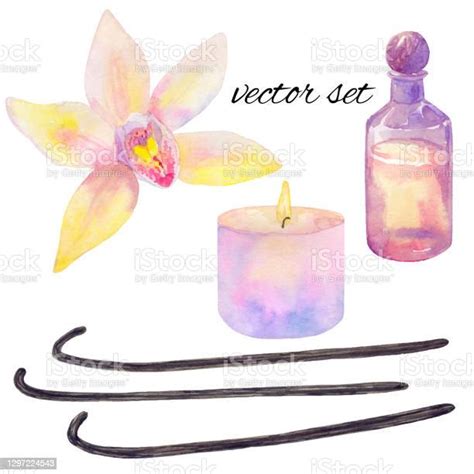병에 에센셜 오일 바닐라 꽃과 스틱 파스텔 핑크 톤에 불을 굽기 설계를 위한 벡터 요소입니다 손으로 그린 수채화 일러스트 흰색
