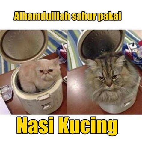 Memes Puasa Paling Lucu 17 Ide Ramadhan | Humor Lucu, Meme, Gambar