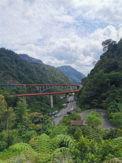 Jungle With Highway Upper View Photos Download The Best Free Jungle