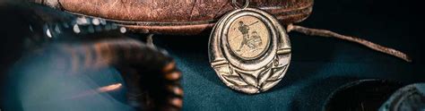 dynamic network model unraveling the journey to olympic gold