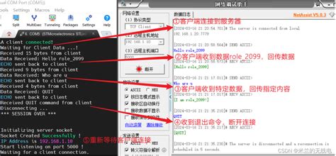 Stm32w5500以太网应用开发002tcp 服务器和客户端w5500 Tcp客户端 Csdn博客