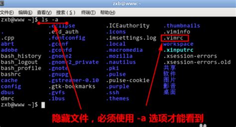 vim环境变量设置的具体方法 vim如何进行环境变量设置 天极下载