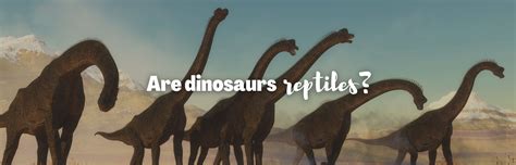 Meet The Common Octopus Deep Ocean Master Of Camouflage