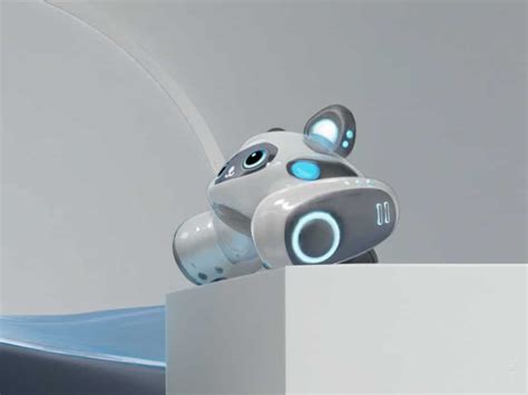 Cute Emotional Support Robot Concept Is Made For Tech Savvy And Active Seniors Archup