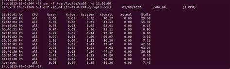 View Past Performance Data With Sar Serverok