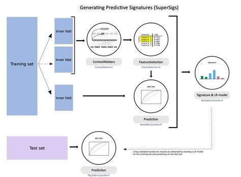Flowchart Of The Supervised Methodology For Predictive Mutational