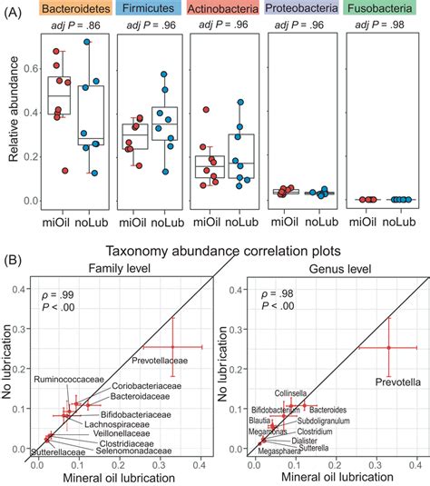 phylum level taxonomy composition and relative abundance and