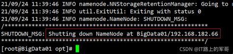 大数据学习——hadoop集群伪分布模式的搭建（超详细） datanode怎么配置yarn site xml csdn博客