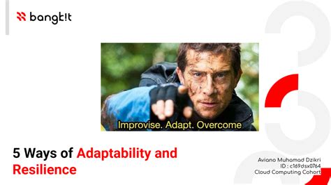 Ways Of Adaptability And Resilience