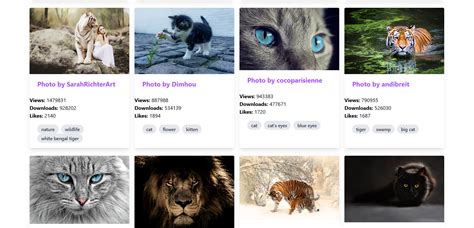 GitHub KAPIL React Image Gallery