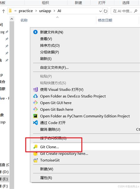使用tortoisegit连接远程仓库进行克隆、拉取、获取、提交、推送、新建切换分支、重命名、删除的一套流程（附带巨全面的git命令