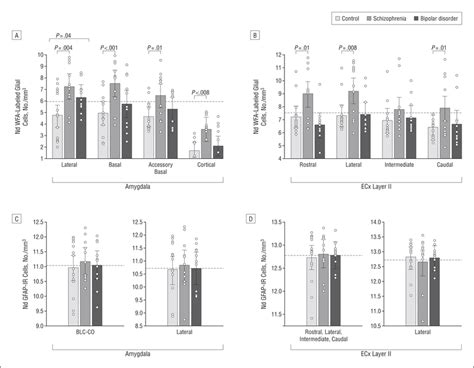Wisteria Floribunda Agglutinin Wfalabeled Glial Cells Are Increased