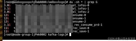 linux 查看某个目录的磁盘空间占用 linux查看目录占用空间大小 csdn博客