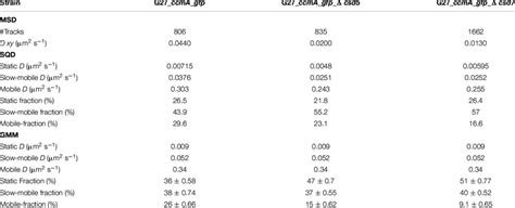 Summary Of Ccmagfp Single Molecule Dynamics Download Scientific Diagram