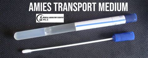 Types Of Microbiology Transport Media A Comprehensive Guide Medical Laboratory Scientist Mls