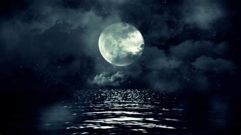 ბუნების ბუნების უმაღლესი პოეზია ანუ მე შენ და სიყვარული