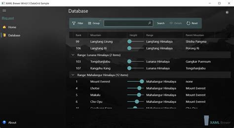 Winui 3 Xaml Brewer By Diederik Krols Page 2