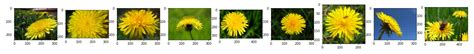 Unsupervised Learning In Image Classification Everything To Know