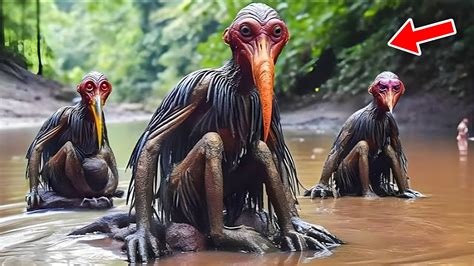 ახალმა აღმოჩენამ ამაზონის ჯუნგლებში მეცნიერები შეაშინა