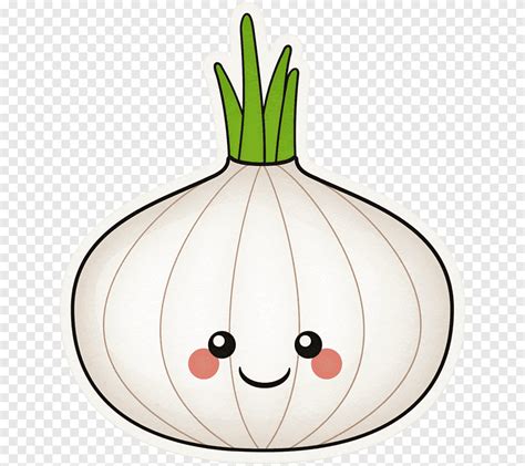 พืชดอกไม้ ผัก หัวหอม ผลไม้ กระเทียม อาหาร Cucurbita Cucurbita ดอกไม้ Png Pngegg