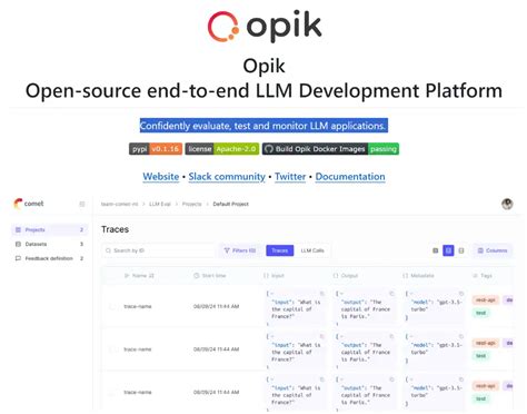 evaluating and monitoring llm and rag functions codesanitize