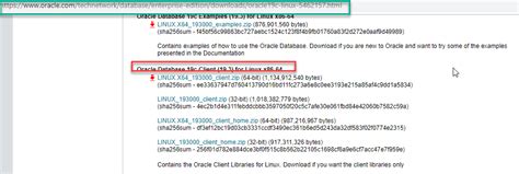 Devops Series Deployment Of Oracle Database 19c Client 193 For Linux X8664 With Ansible