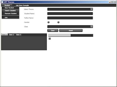 Asim Sajjad Changing Theme In WPF