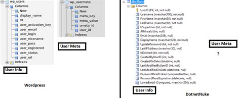 Json How To Add Manage Temparory Data In Dotnetnuke Stack Overflow