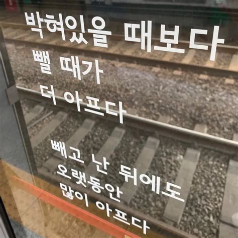 싱글벙글 애널 후기 유머 채널