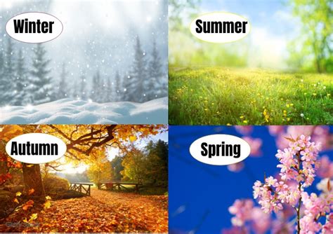 Seasons Of The Year A3 Template Postermywall