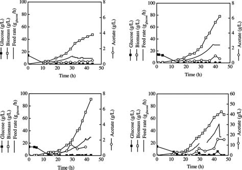 Induced Fed Batch Cultivation Of Recombinant E Coli With Different