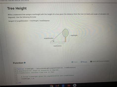 solved interna aerial di tree height write a statement that