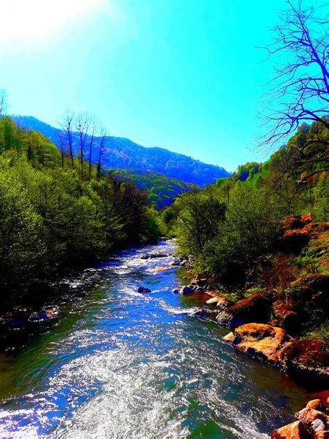 რამიშვილების საგვარეულო ჯგუფი კავშირი Facebook