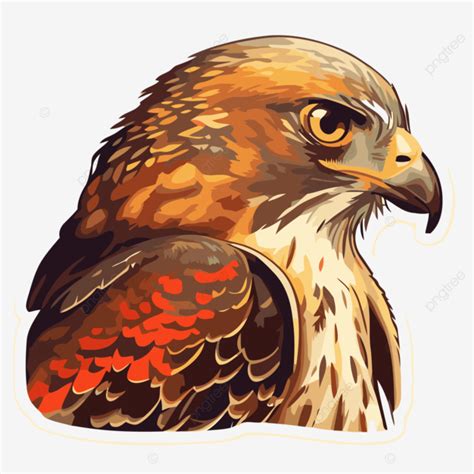Hawk Head Vinyl Sticker Vector Head Clipart Sticker Clipart Hawk