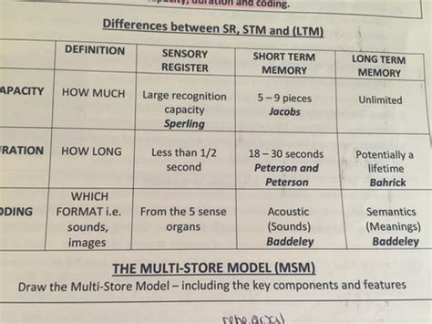 Memory set 1: multi store model Flashcards | Quizlet