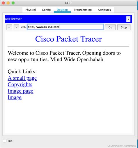 Cisco仿真实验 网络服务（webdnsdhcp）思科模拟器web服务器配置域名 Csdn博客