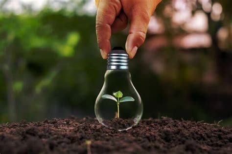 Ai In Ecosystem Conservation Monitoring And Protection Future83