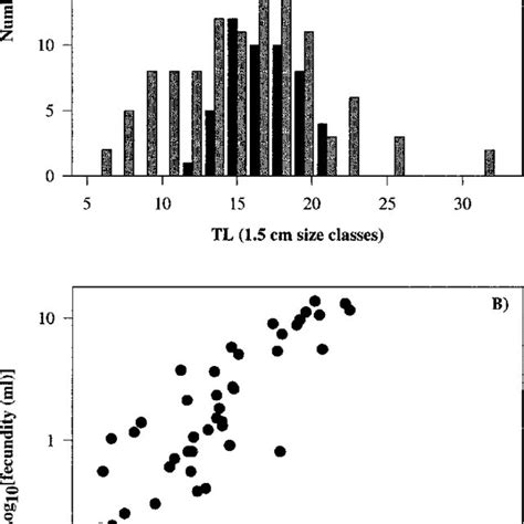 Sparisoma Radians A Sex Size Distribution On Patch Reef Habitats