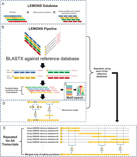 Lemons A Tool For The Identification Of Splice Junctions In
