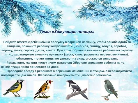 Зимующие птицы Online Presentation