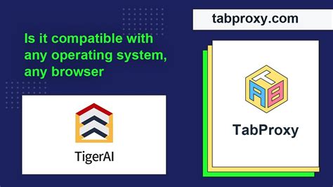 Tabproxy How To Set Up A Japan Residential Proxy In Tigerai Browser Tabproxy Deserves Your