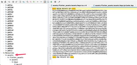 Bypass Mtls Flutter ~rodnt