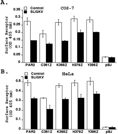 Agonist Induced Internalization Of Par2 Wild Type And C Tail Truncation Download Scientific
