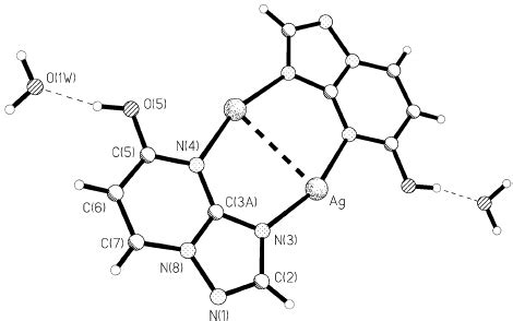 View Of Two Monomeric Units Of The Polymeric Structure Of Compound Download Scientific Diagram