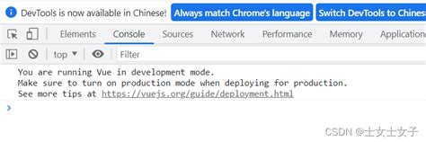 vue插件在拖入后还是显示download the vue devtools extension for a better