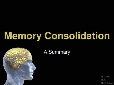 Ppt Memory Consolidation Powerpoint Presentation Free Download Id 3354376