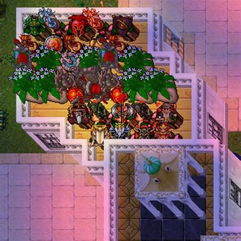 Tibia Char Lover Tibiacharlover • Instagram Photos And Videos