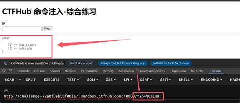 Ctfhub技能树 Web Rce 命令注入ctfhub技能树命令注入 Csdn博客
