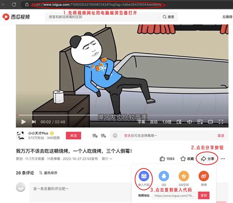 怎样获取视频嵌入代码或通用代码？